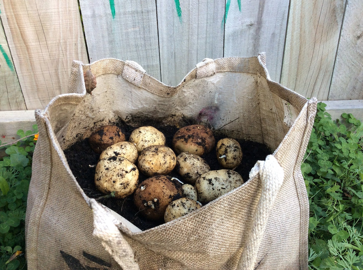 Five ways to reuse your old jute shopping bag – SimplyJute